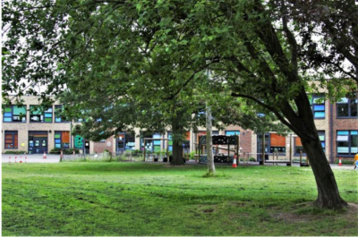 Aylward Primary School - wcs