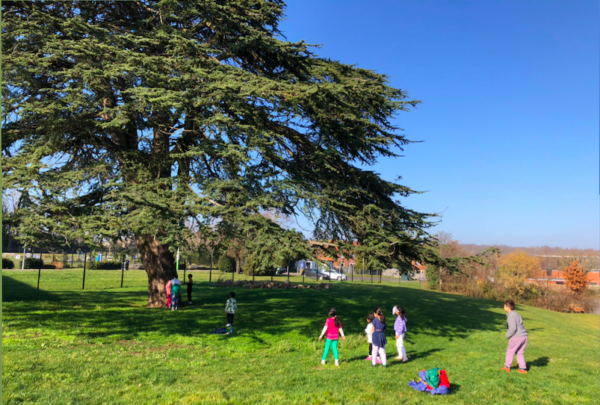 Aylward Primary School - wcs